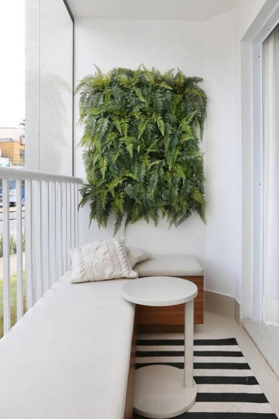 Samambaia: Tipos, Como Cuidar +4 Ideias Para Decorar o Ambiente